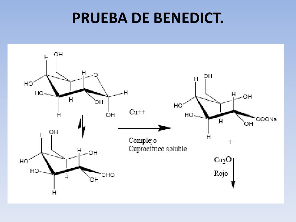 PPT - PRÁCTICA 11 PowerPoint Presentation, free download - ID:1698412
