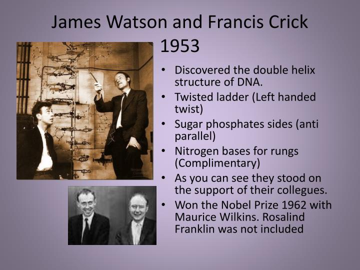 PPT - History of The discovery of DNA PowerPoint Presentation - ID:1698435