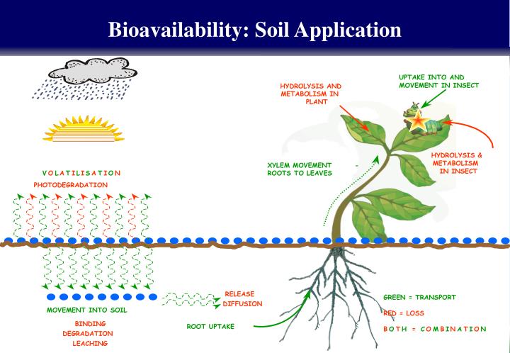 PPT - Bioavailability: An Agrochemical Research Perspective PowerPoint ...