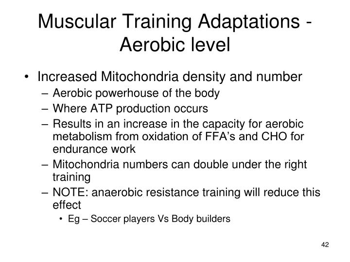 PPT - Chronic adaptations to training. PowerPoint Presentation - ID:1699326