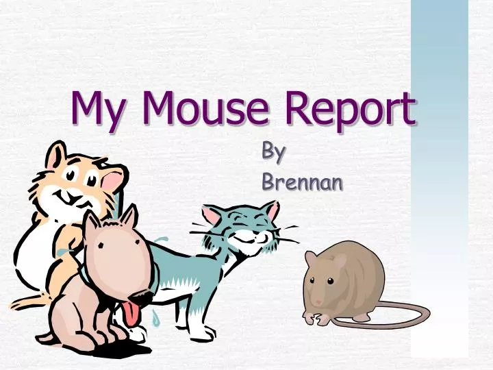 PPT - My Mouse Report PowerPoint Presentation, free download - ID:1699480