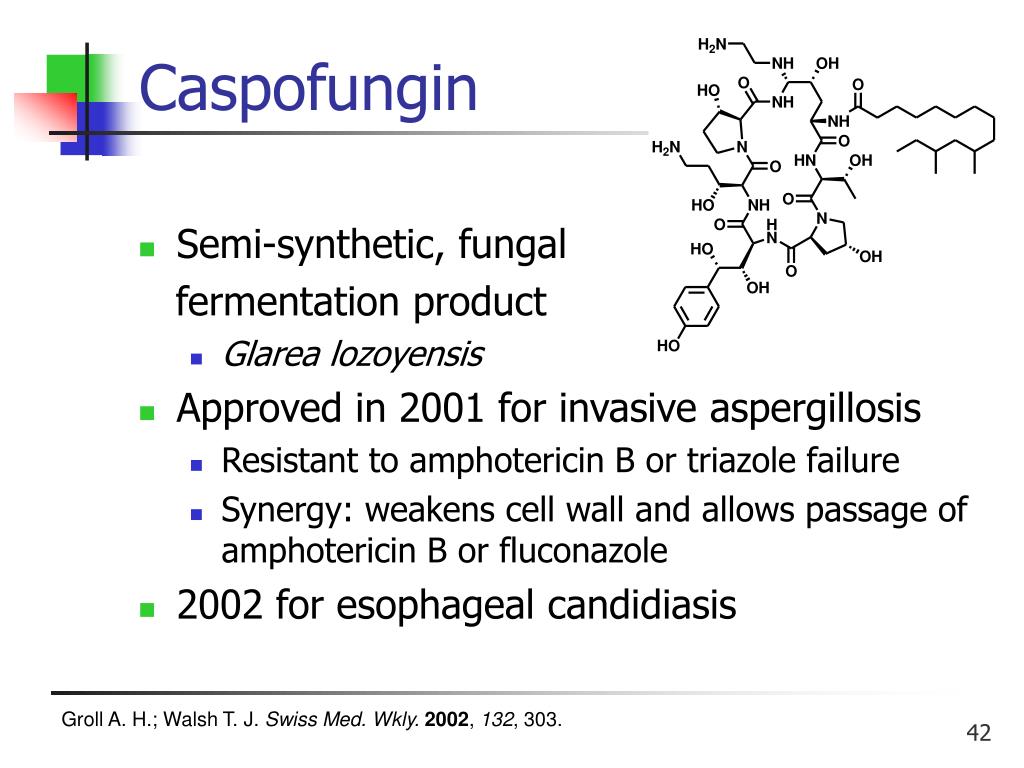PPT - Recent Advances in Antifungal Drug Development PowerPoint ...
