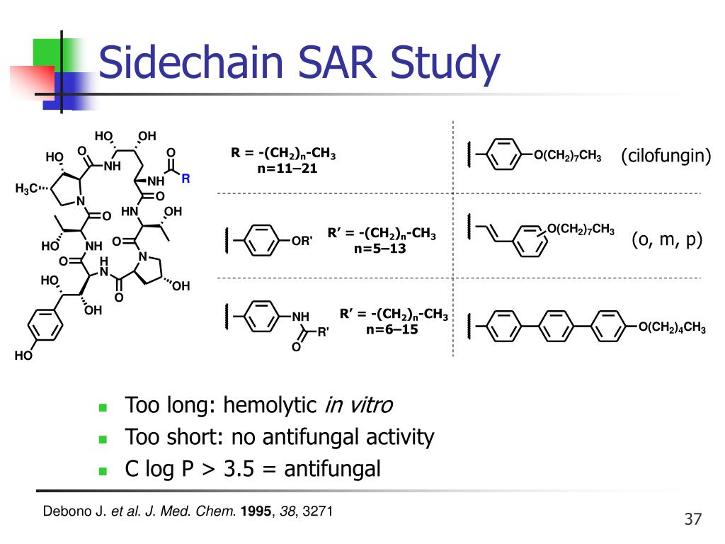 PPT - Recent Advances in Antifungal Drug Development PowerPoint ...