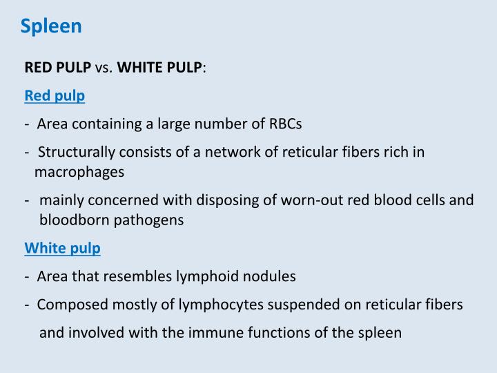 PPT - L-6 Lymphatic System and Defense Mechanism (Immune Response ...