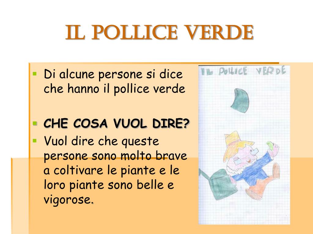 PPT - ALLA CONQUISTA DEL PIANETA VERDE PowerPoint Presentation, free ...