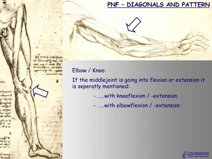 PPT - PNF – DIAGONALS AND PATTERN PowerPoint Presentation - ID:1699879