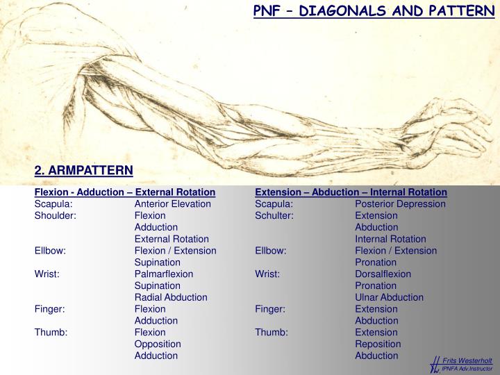 PPT - PNF – DIAGONALS AND PATTERN PowerPoint Presentation - ID:1699879