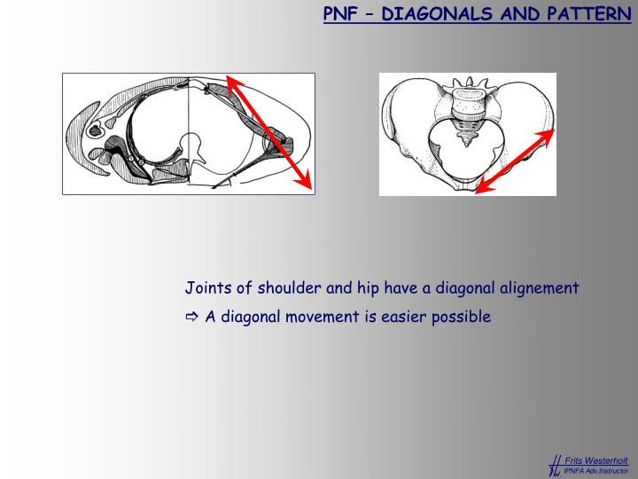 PPT - PNF – DIAGONALS AND PATTERN PowerPoint Presentation - ID:1699879