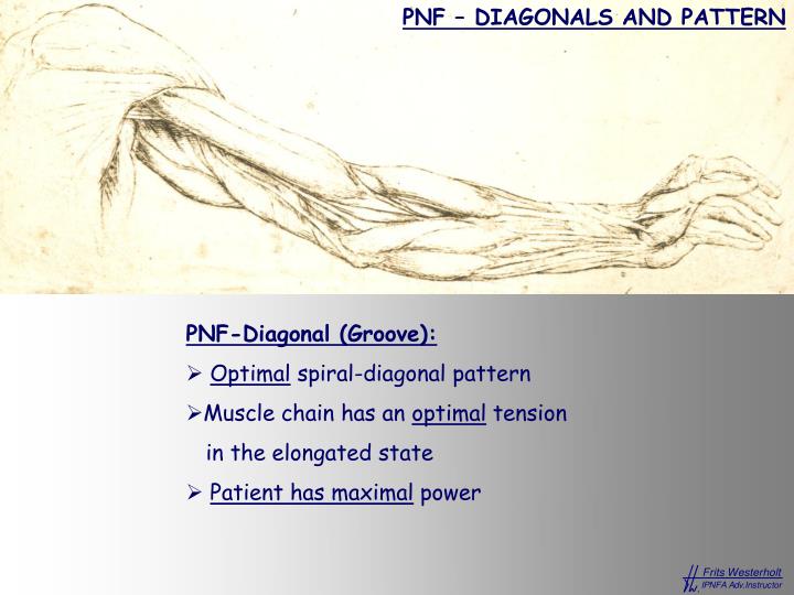 PPT - PNF – DIAGONALS AND PATTERN PowerPoint Presentation - ID:1699879