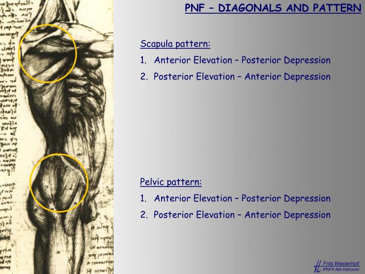 PPT - PNF – DIAGONALS AND PATTERN PowerPoint Presentation - ID:1699879