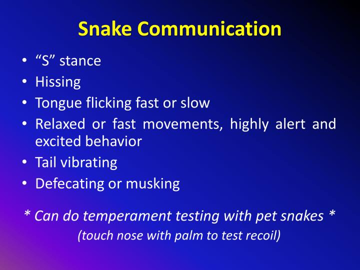PPT - Reptile Handling 101 PowerPoint Presentation - ID:1699924
