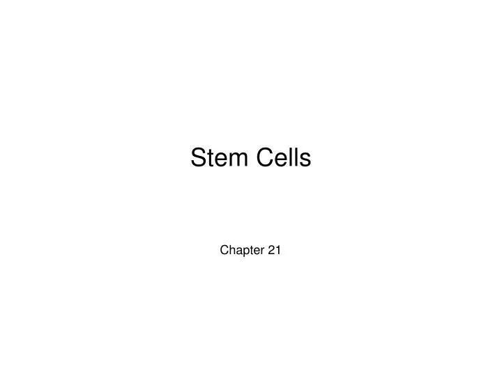 PPT - Stem Cells PowerPoint Presentation, free download - ID:1700065