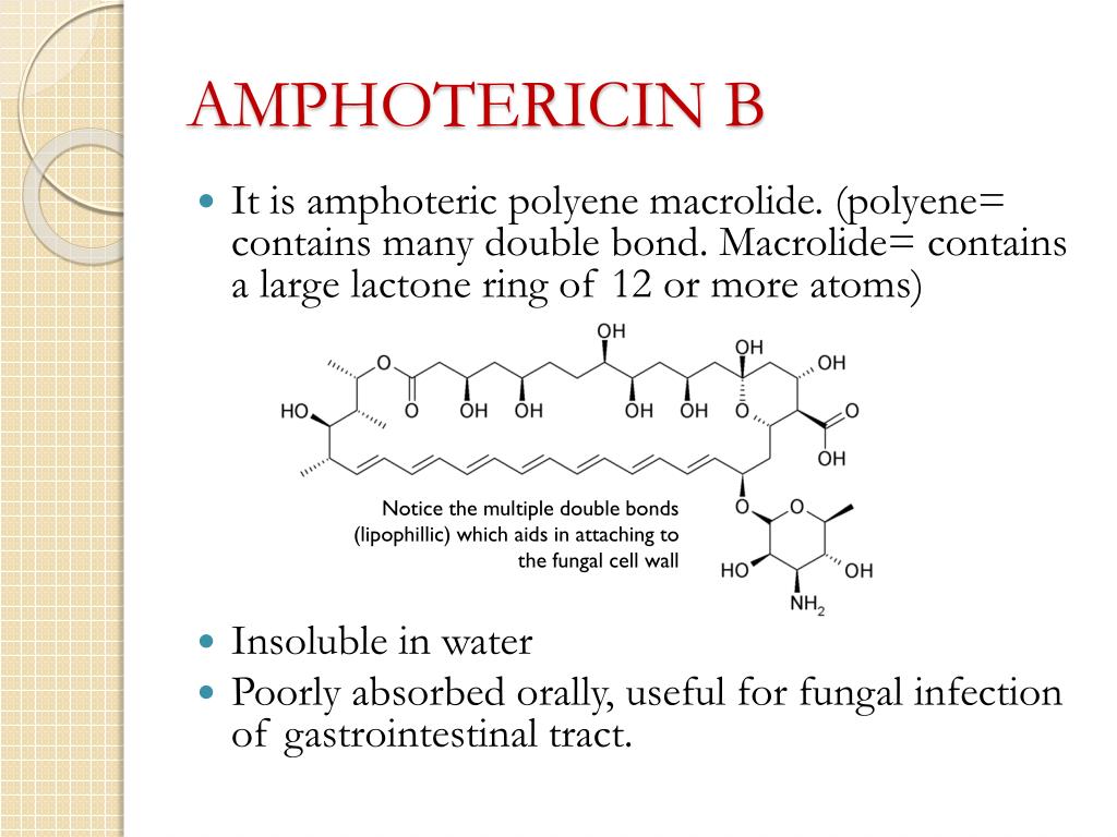 PPT - ANTI FUNGAL DRUGS Nov.2010 PowerPoint Presentation, free download ...