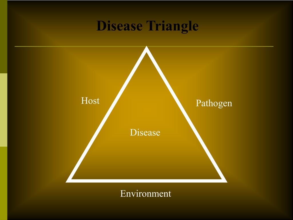 PPT - Basic Plant Pathology PowerPoint Presentation, free download - ID ...