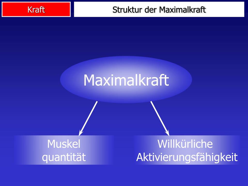 PPT - VL Trainingswissenschaft 5. Kraft PowerPoint Presentation, free ...