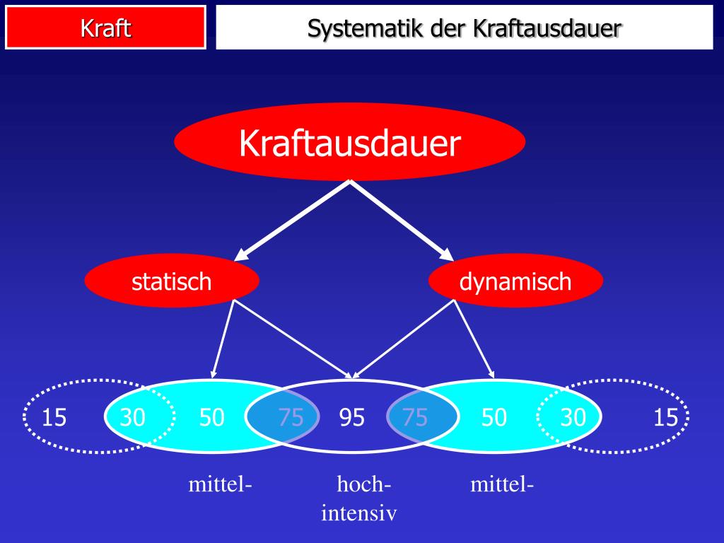 PPT - VL Trainingswissenschaft 5. Kraft PowerPoint Presentation, free ...