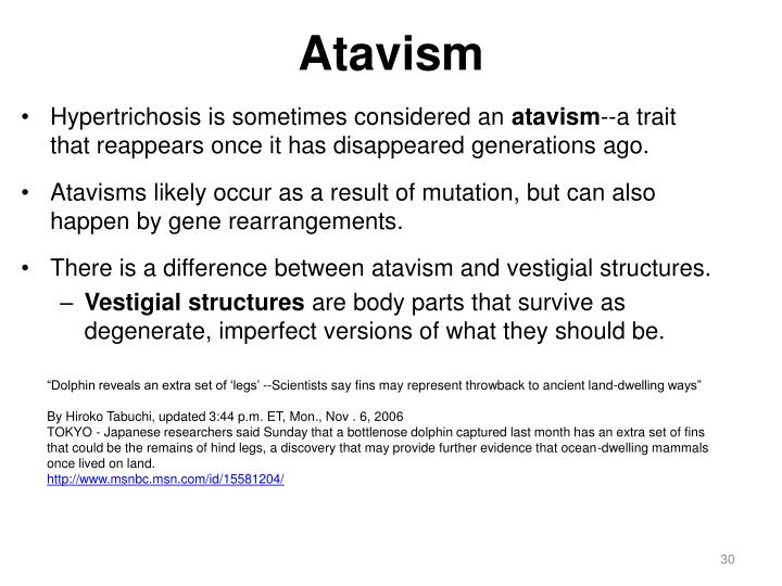 PPT - The “Wolfman” PowerPoint Presentation - ID:1702022