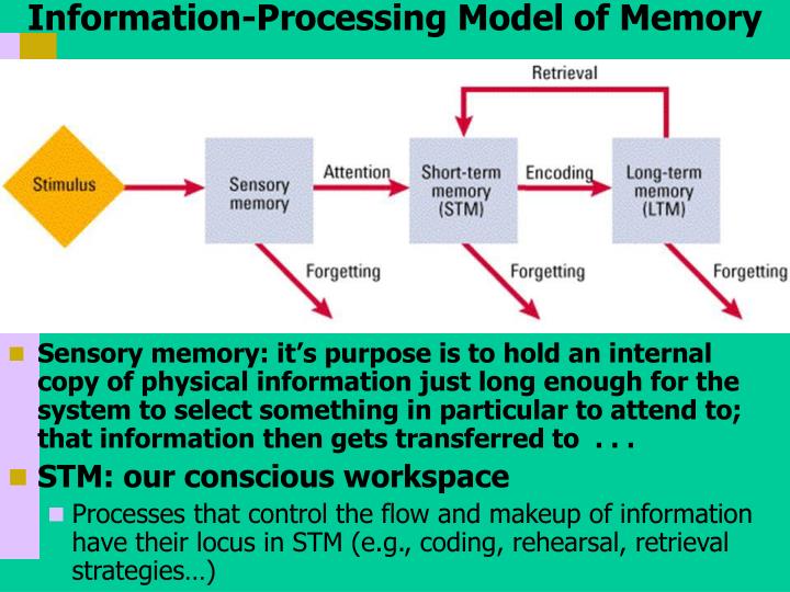 PPT - Attention and Memory PowerPoint Presentation - ID:1703118