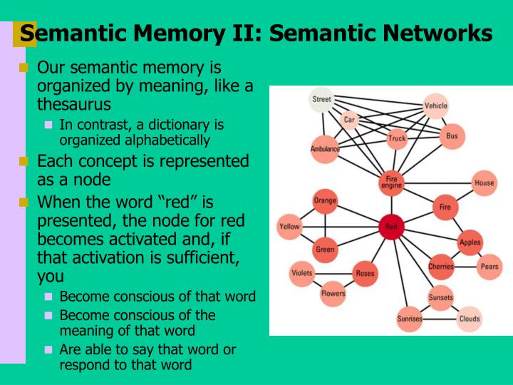 PPT - Attention and Memory PowerPoint Presentation - ID:1703118
