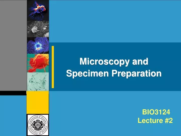 PPT - Microscopy and Specimen Preparation PowerPoint Presentation - ID ...