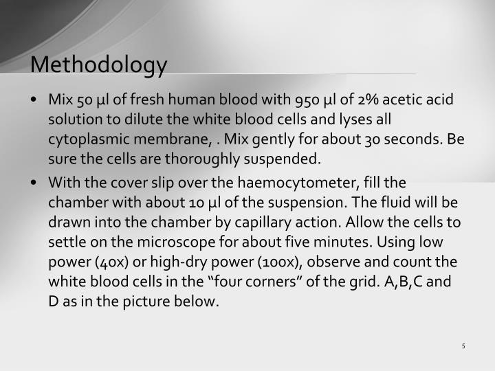 PPT - Cell count and WBC differential Count PowerPoint Presentation ...