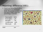 PPT - Cell count and WBC differential Count PowerPoint Presentation ...