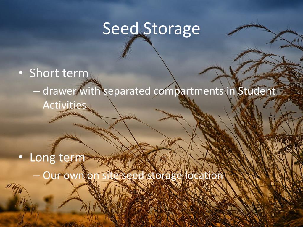 PPT - Native American Traditional Garden: Retracing our heritage ...