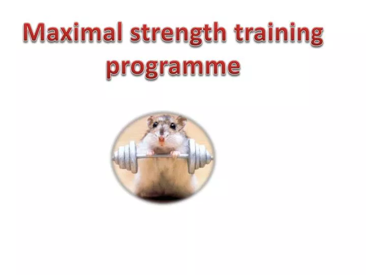 PPT - Maximal strength training programme PowerPoint Presentation, free ...
