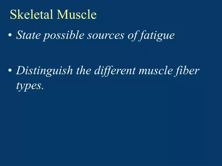 PPT - Skeletal Muscle PowerPoint Presentation, free download - ID:1703882