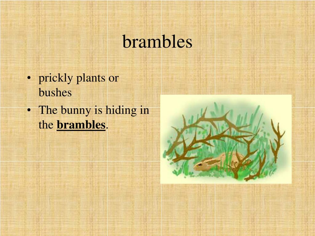 PPT - Vocabulary PowerPoint Presentation, free download - ID:1703919