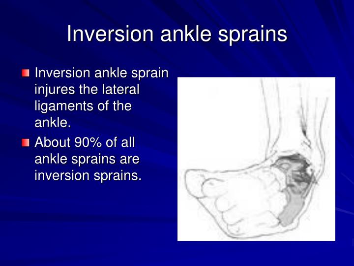 PPT - Foot, Ankle, and Lower Leg PowerPoint Presentation - ID:1703925