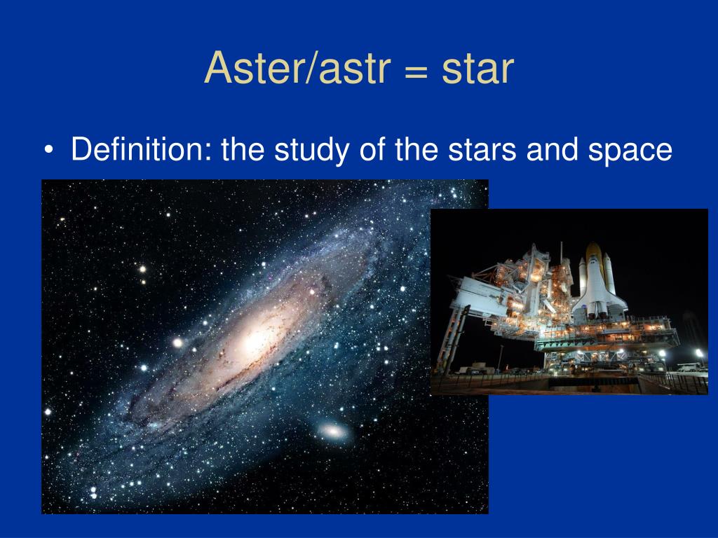 PPT - Word: maternity leave Word: paternity leave PowerPoint ...