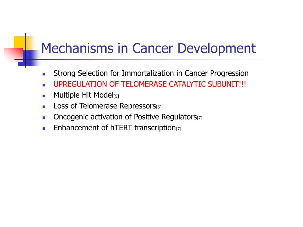 PPT - Telomerase, Immortalization and Cancer Eric Bankaitis Cancer Bio ...