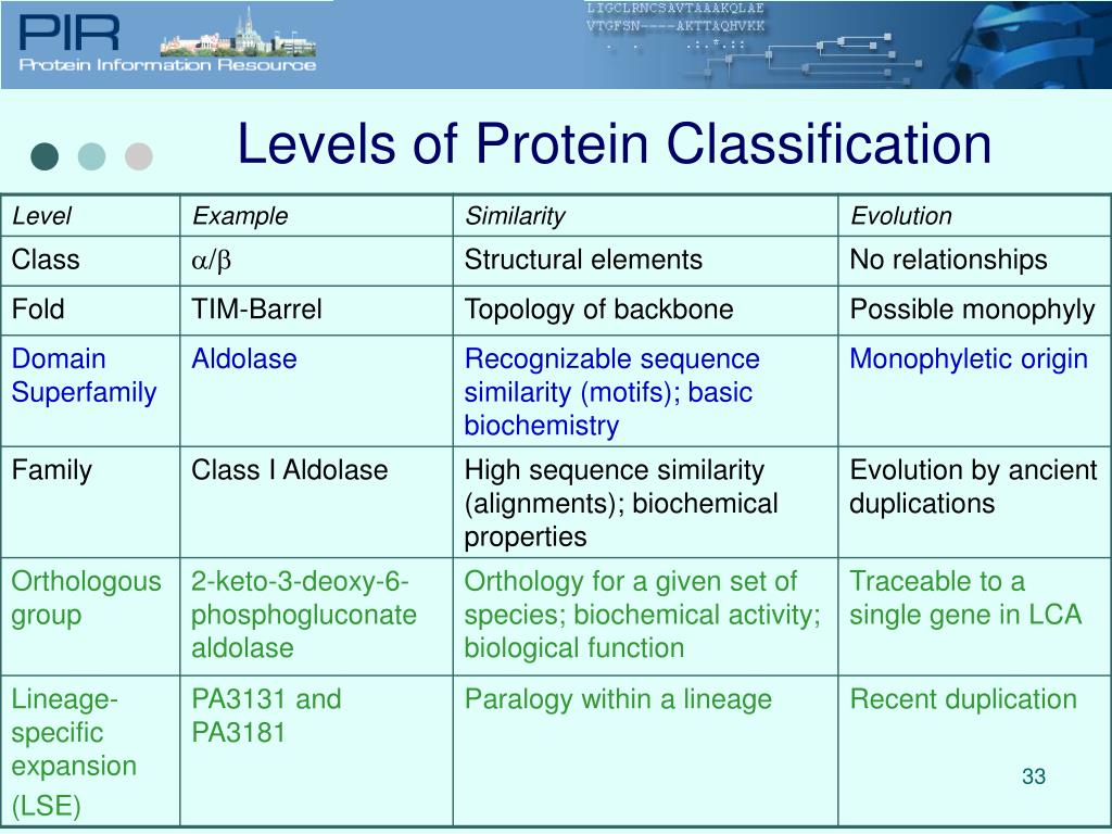 PPT - Anastasia Nikolskaya PIR (Protein Information Resource ...