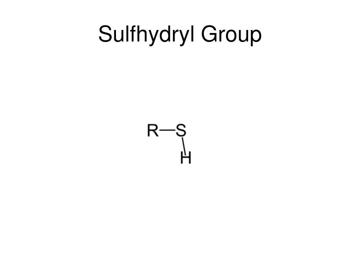 PPT - Introduction to Organic Chemistry PowerPoint Presentation - ID ...