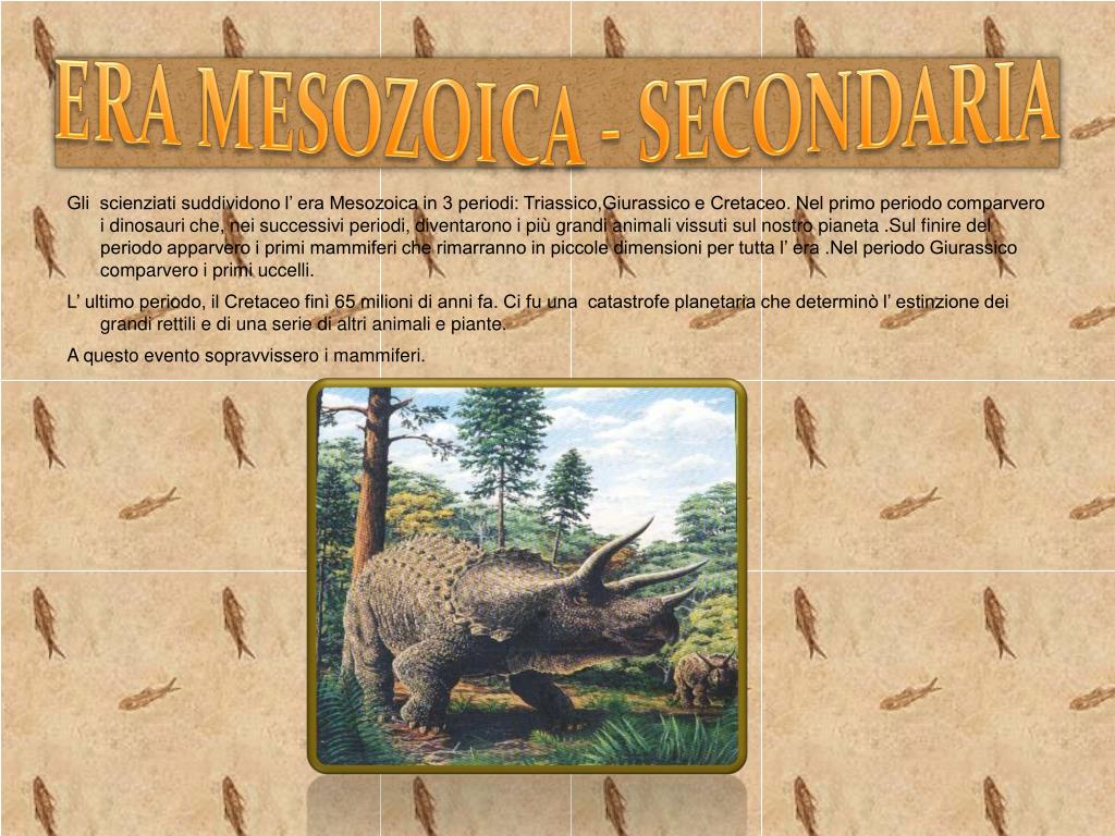 PPT - Istituto comprensivo ”Pisacane - Poerio” Classe 3^C Lavoro di ...