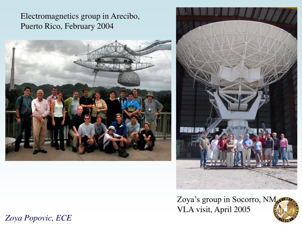 PPT - Designing Your Academic Career (some tips and scenarios*) Zoya ...