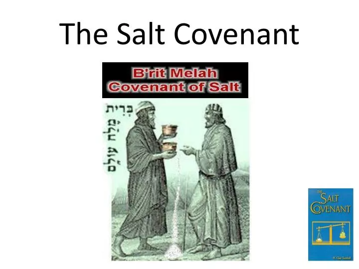 PPT - The Salt Covenant PowerPoint Presentation, free download - ID:1706795
