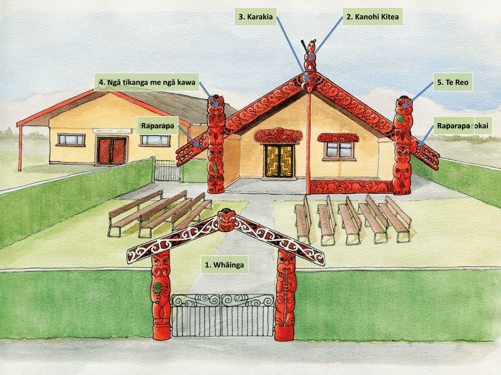 PPT - In pursuit of culturally responsive pathways Whaia ki te ara tika ...