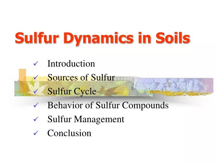 PPT - Sulfur Dynamics in Soils PowerPoint Presentation, free download ...
