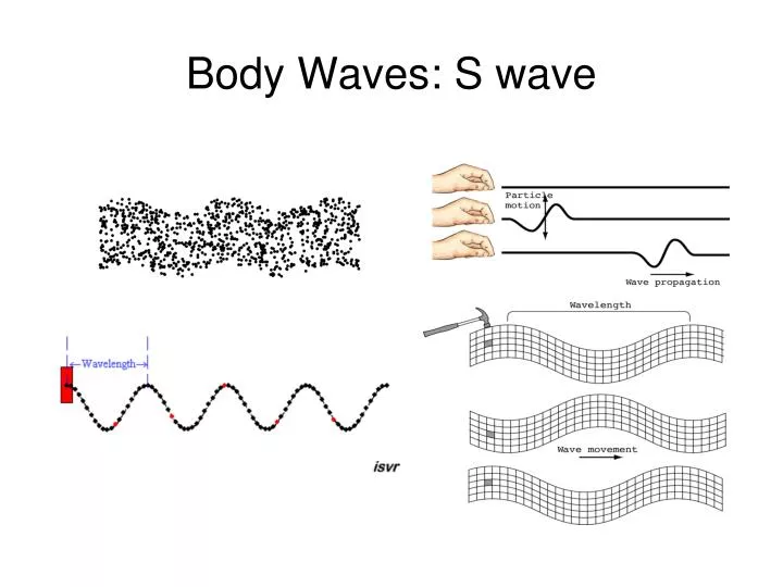 PPT - Body Waves: S wave PowerPoint Presentation, free download - ID ...