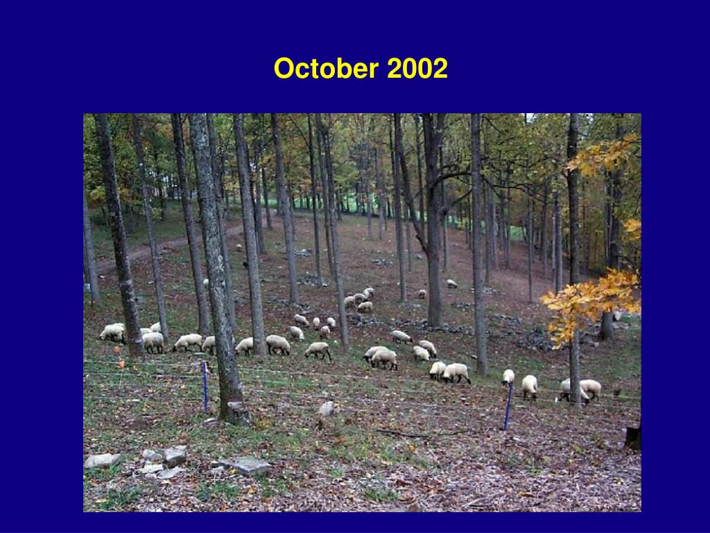 PPT - Jim Neel Research Animal Scientist USDA-ARS Appalachian Farming ...