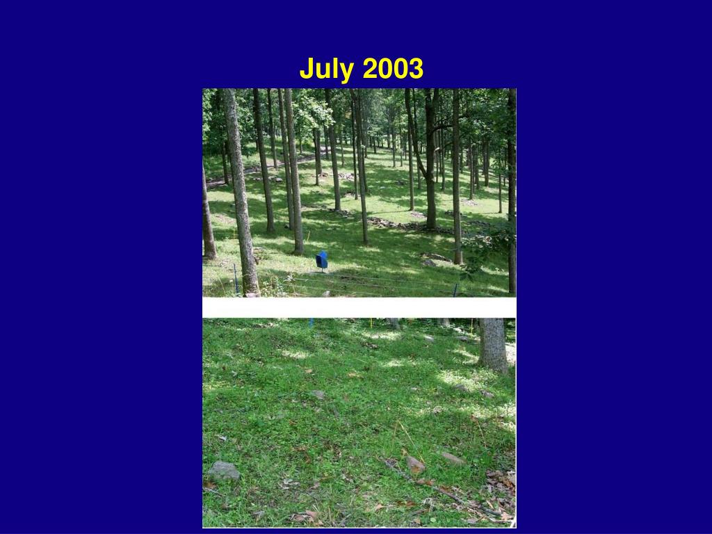 PPT - Jim Neel Research Animal Scientist USDA-ARS Appalachian Farming ...