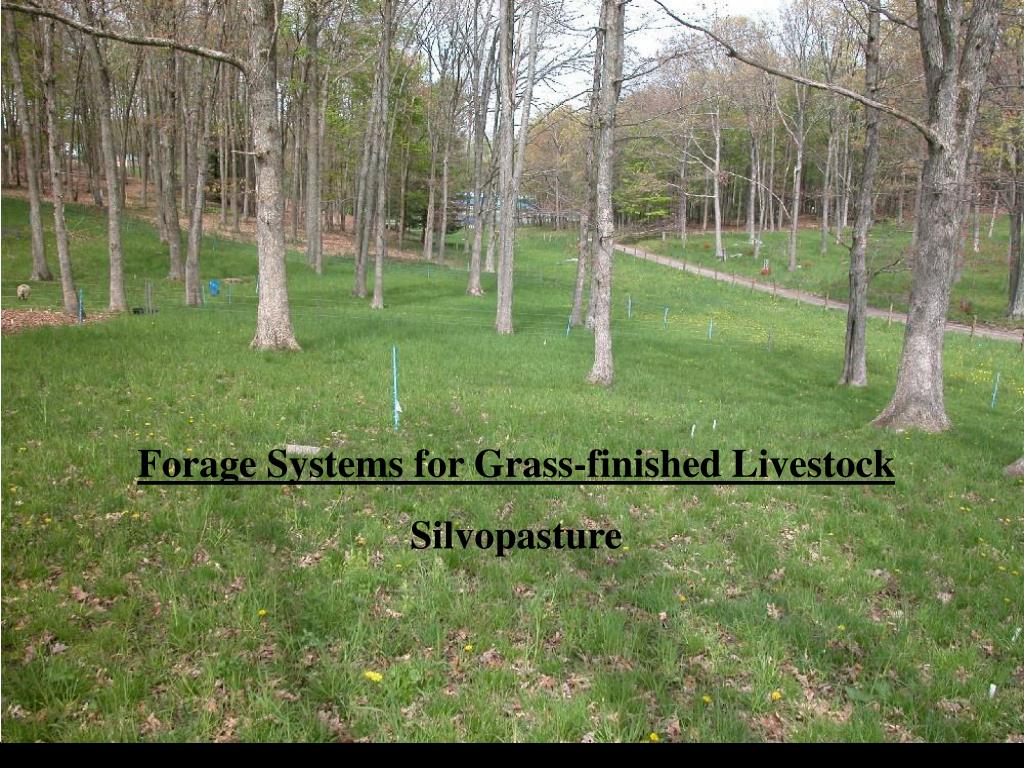 PPT - Jim Neel Research Animal Scientist USDA-ARS Appalachian Farming ...