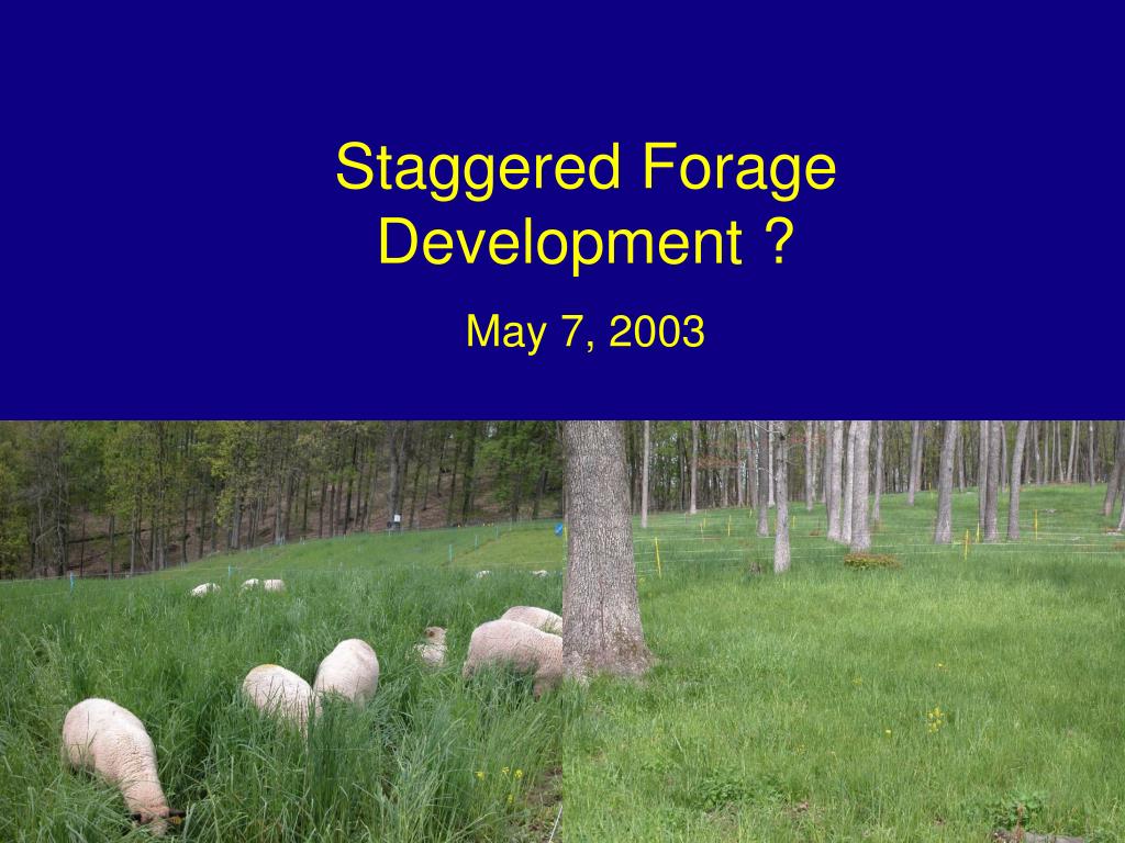 PPT - Jim Neel Research Animal Scientist USDA-ARS Appalachian Farming ...