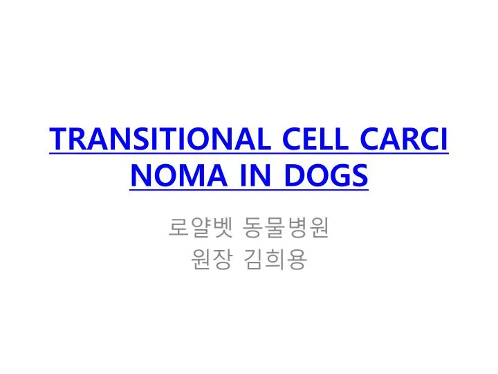 PPT - TRANSITIONAL CELL CARCINOMA IN DOGS PowerPoint Presentation, free ...