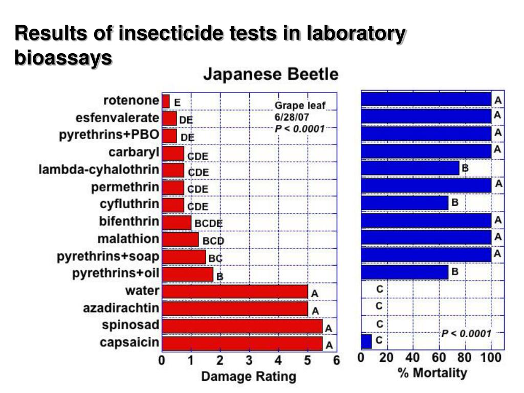 PPT - Insect Pests in Home Fruit Gardens: Basic Training for Master ...