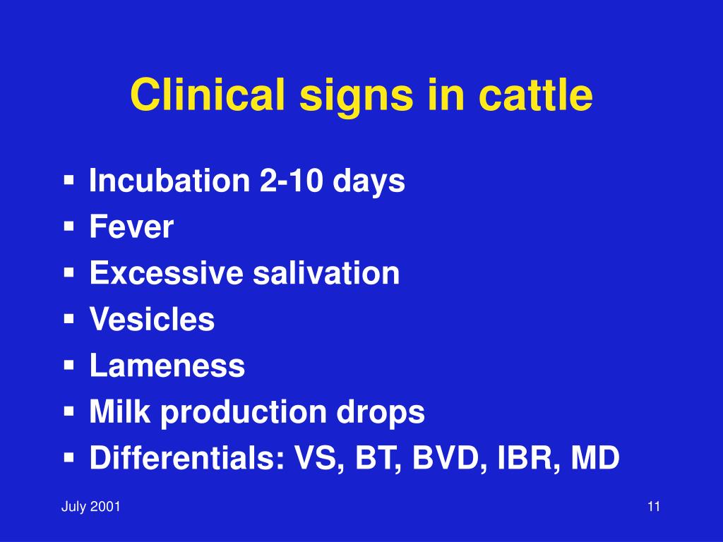 PPT - Foot and Mouth Disease PowerPoint Presentation, free download ...