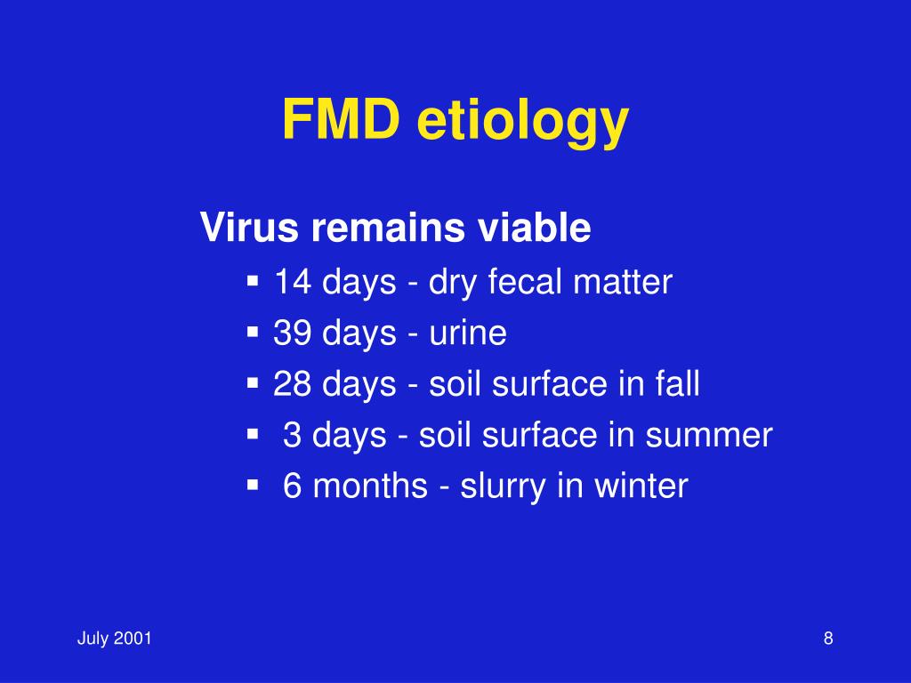 PPT - Foot and Mouth Disease PowerPoint Presentation, free download ...