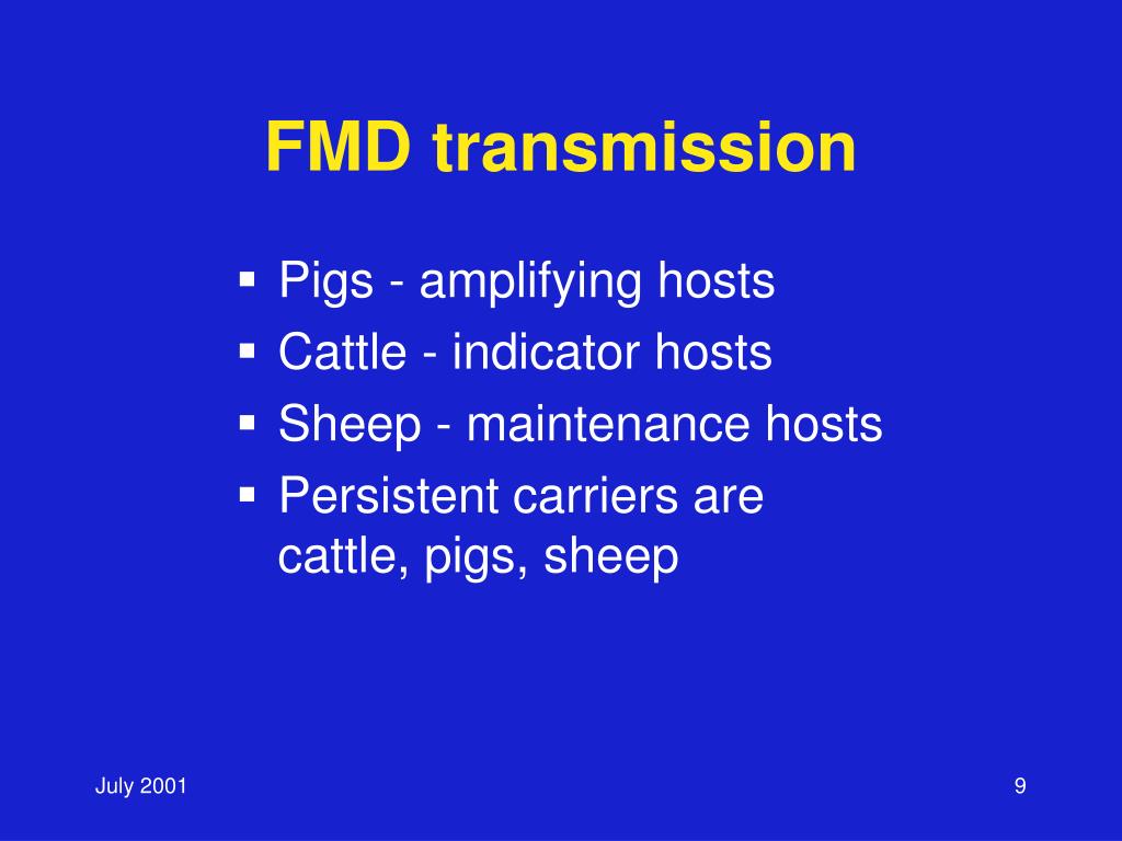 PPT - Foot and Mouth Disease PowerPoint Presentation, free download ...